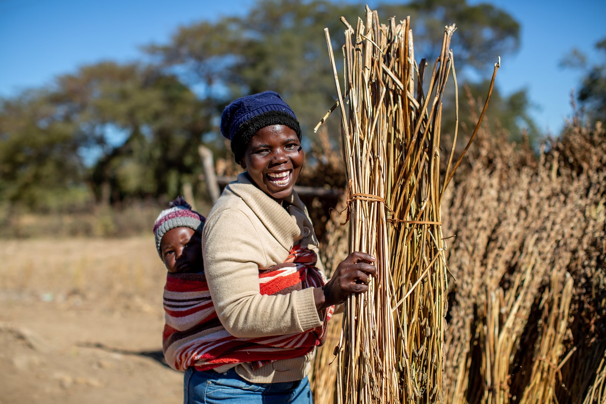 Zimbabwe | Climate Promise