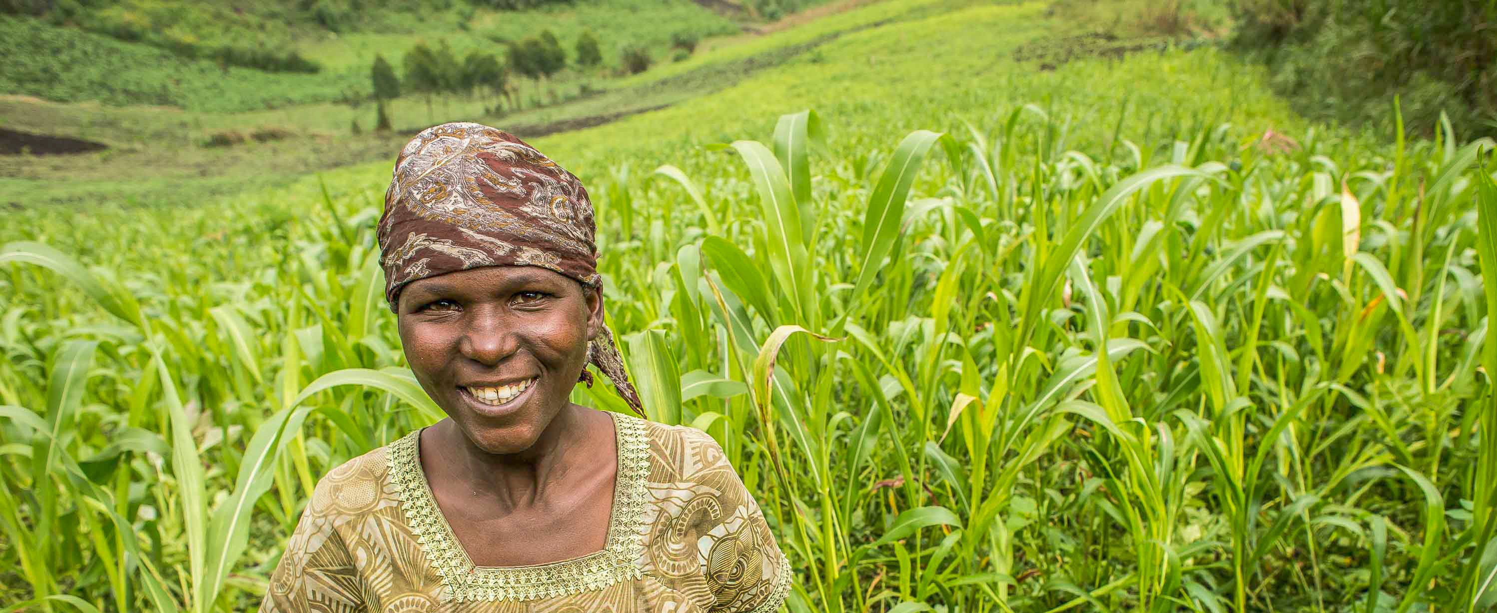 Congo (Democratic Republic of) | Climate Promise