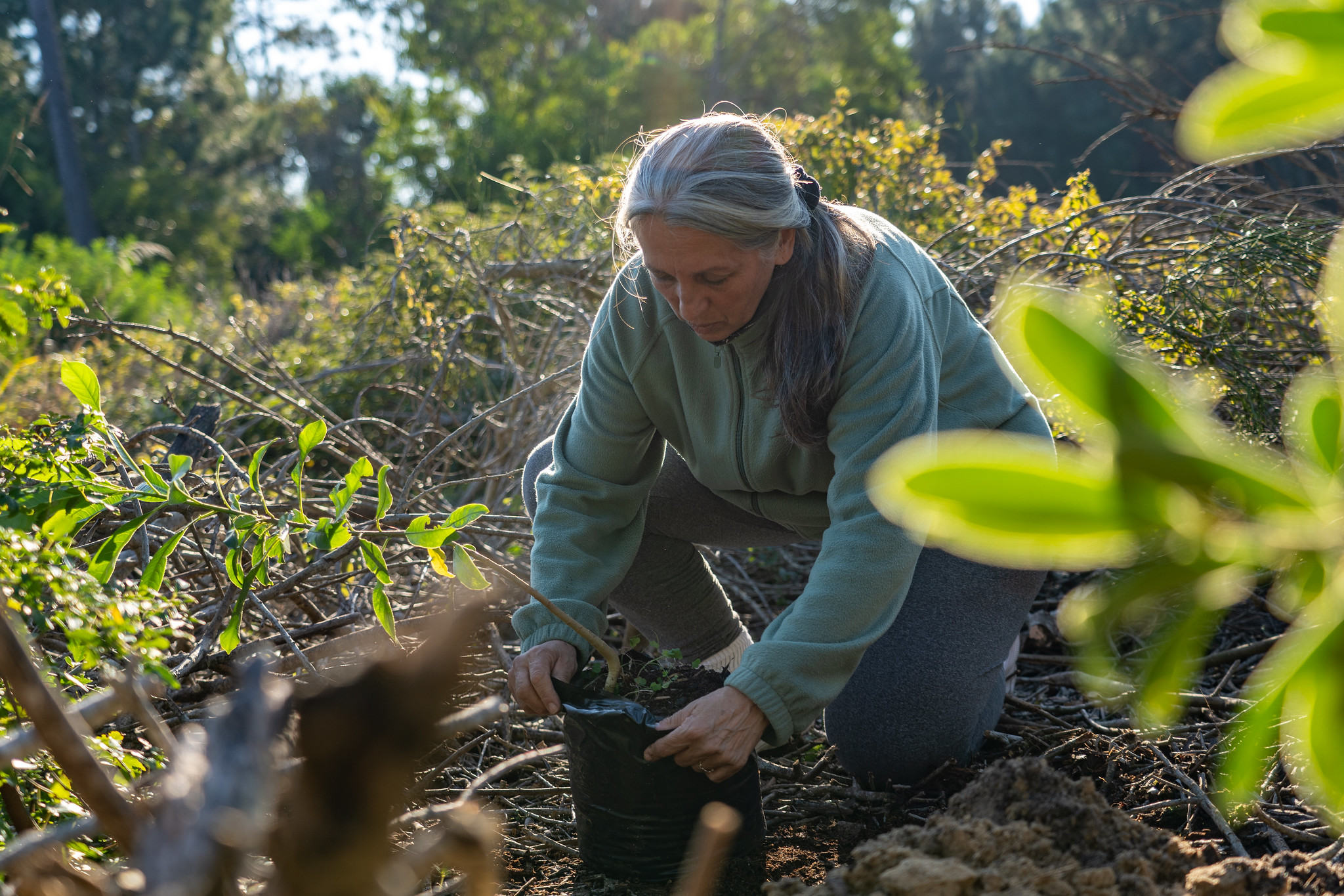Uruguay | Climate Promise