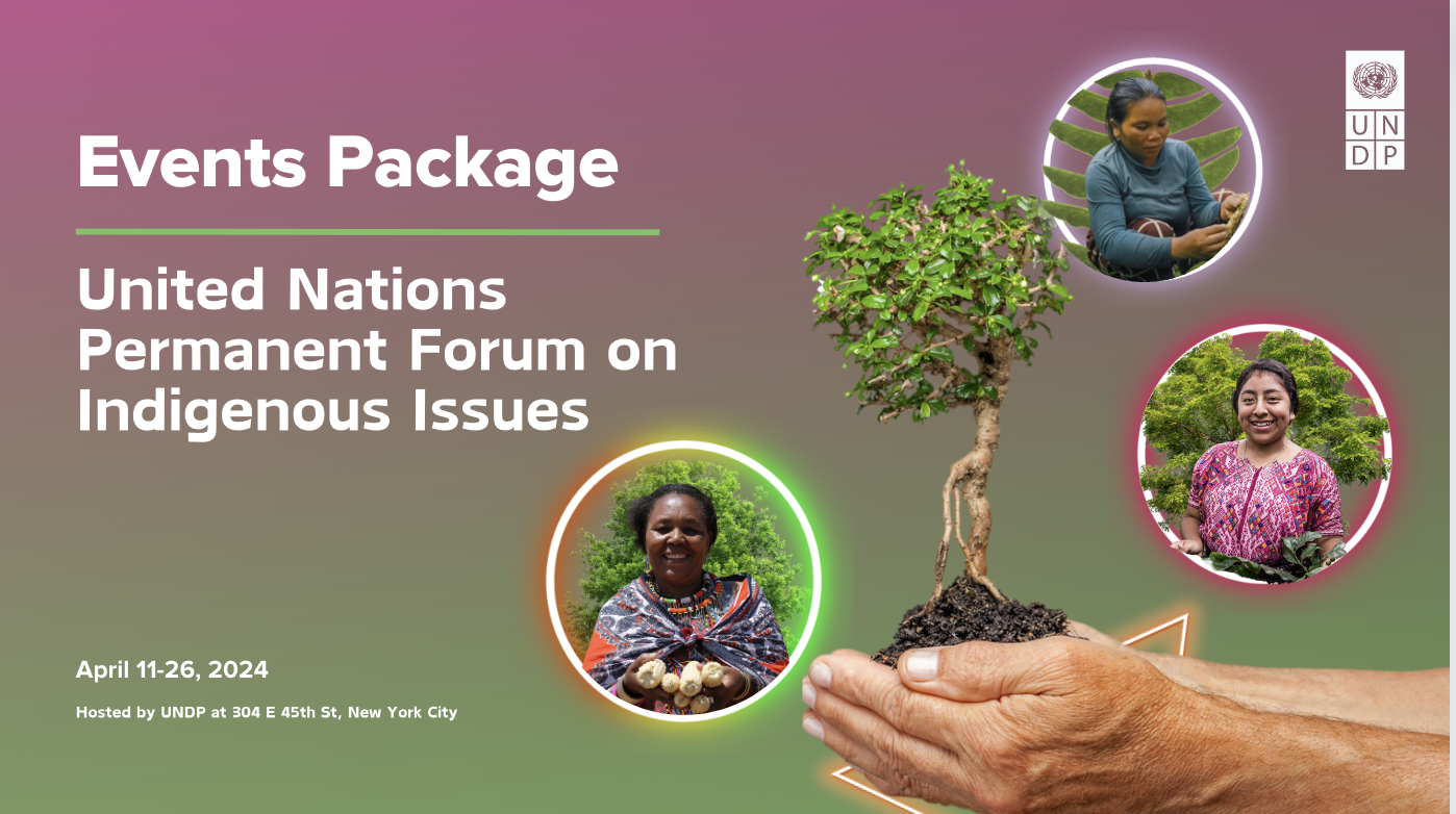 United Nations Permanent Forum on Indigenous Issues | UNDP Climate Promise