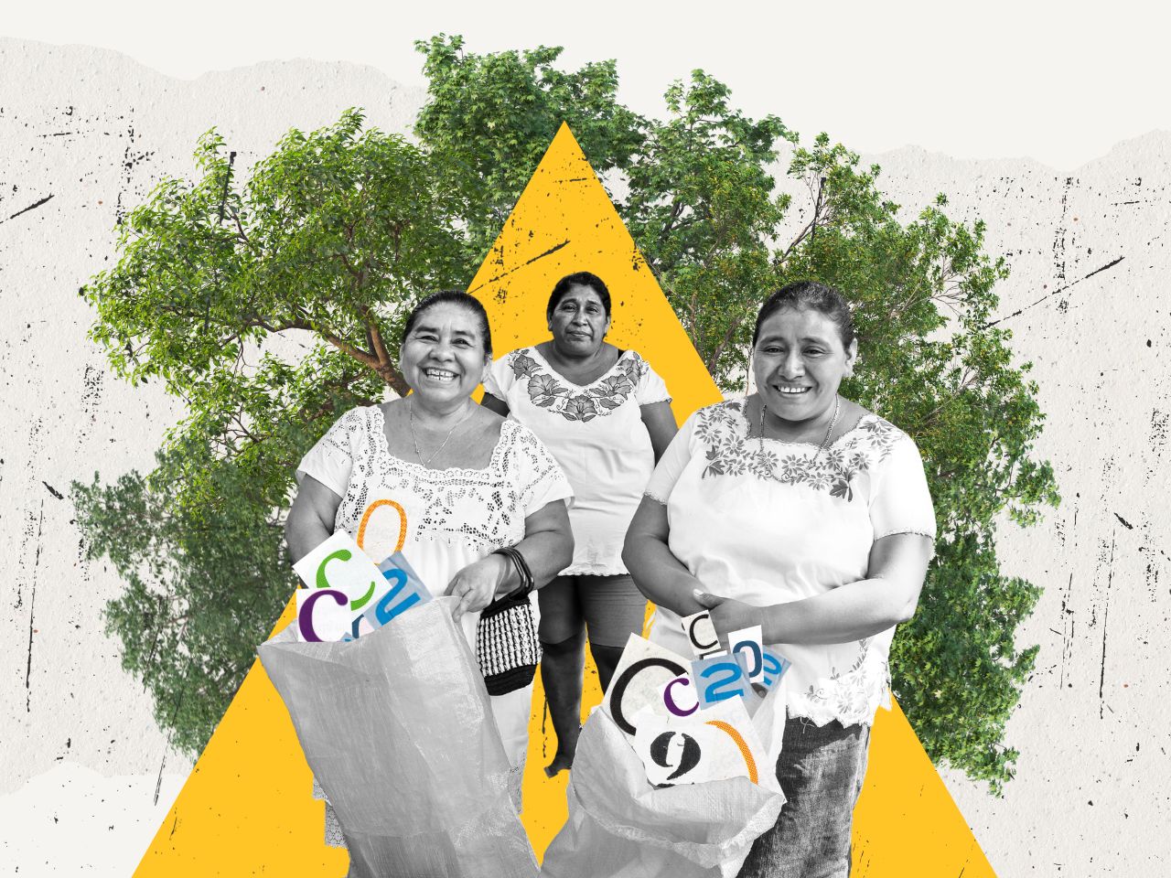 Forests can help us limit climate change – here is how | UNDP Climate ...