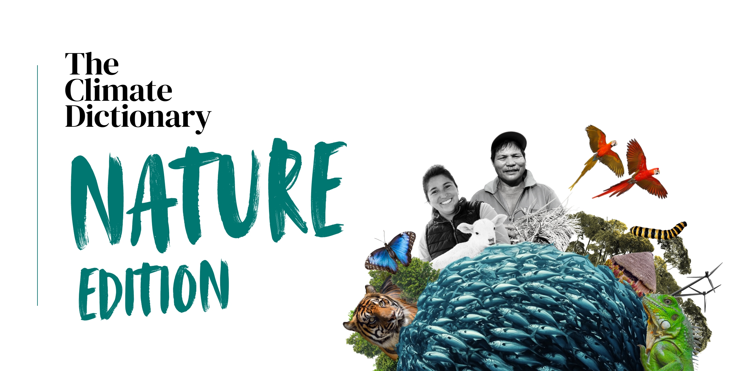 The Climate Dictionary: Nature Edition | UNDP Climate Promise
