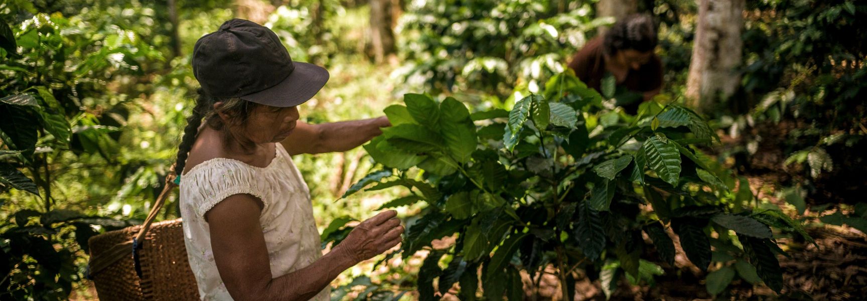 Direct grants to Indigenous Peoples | Climate Promise