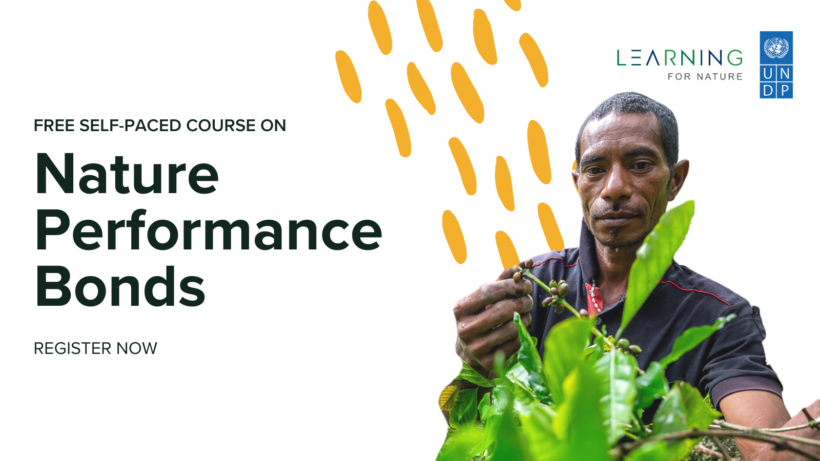 UNDP offers training on Nature Performance Bonds | UNDP Climate Promise