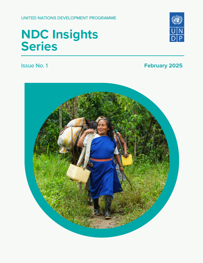 NDC Insights Series: February 2025 | UNDP Climate Promise