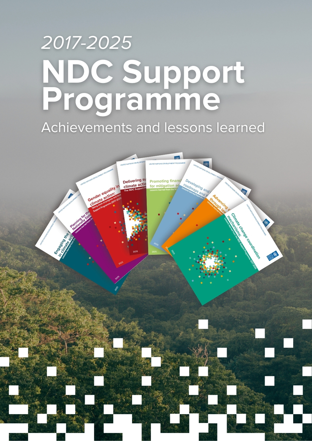 Nationally Determined Contributions Support Programme – Achievements ...