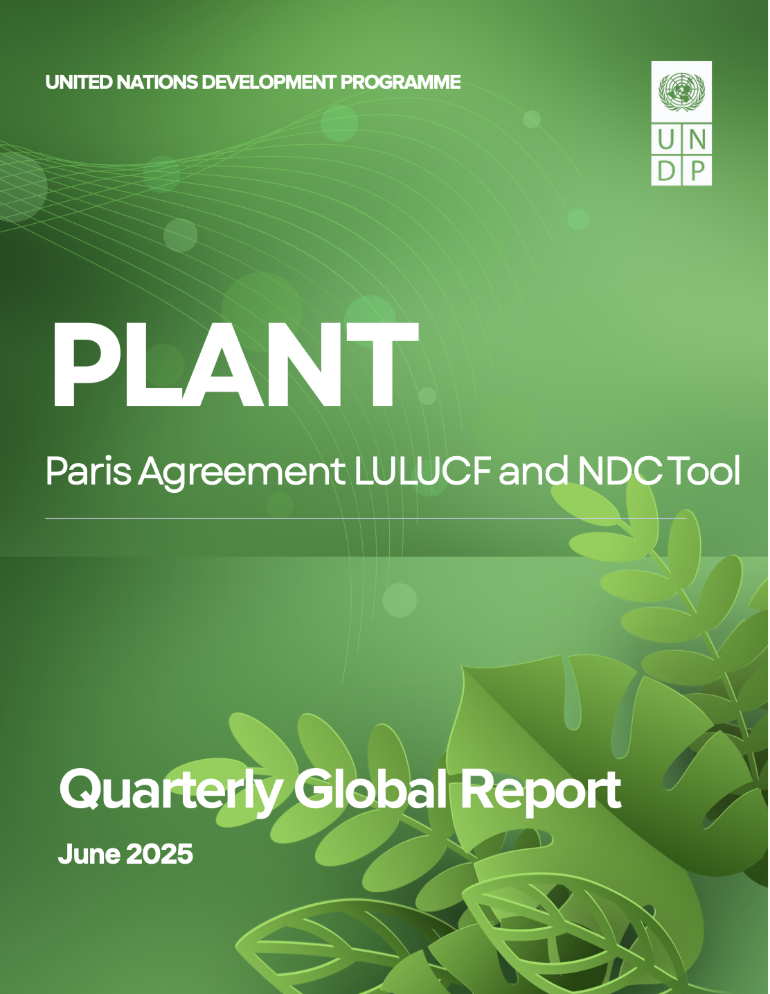 PLANT : Quarterly Global Report | June 2025 | UNDP Climate Promise