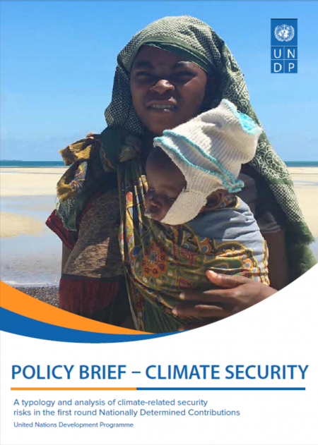 A typology and analysis of climate-related security risks in the first ...