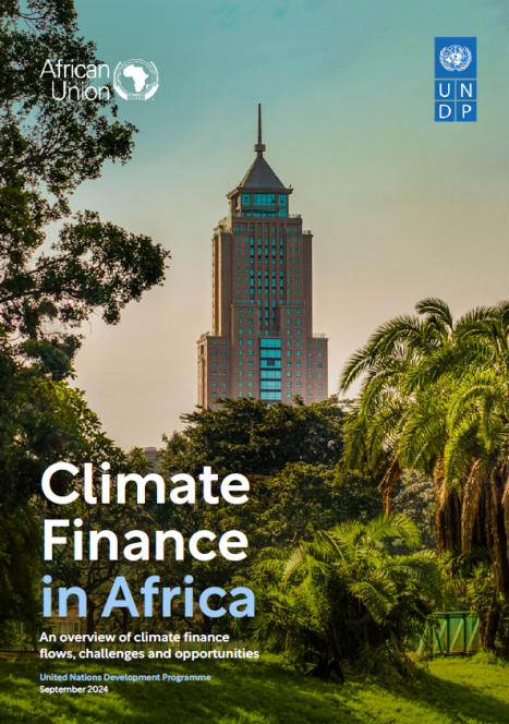 Climate Finance in Africa: An overview of climate finance flows ...