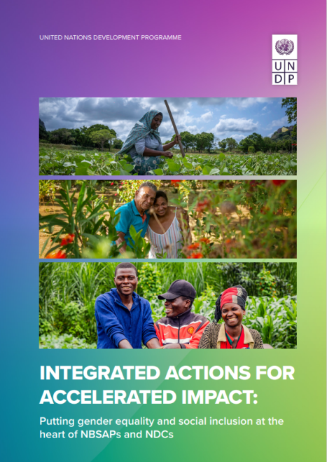 Integrated actions for accelerated impact: Putting gender equality and social inclusion at the ...