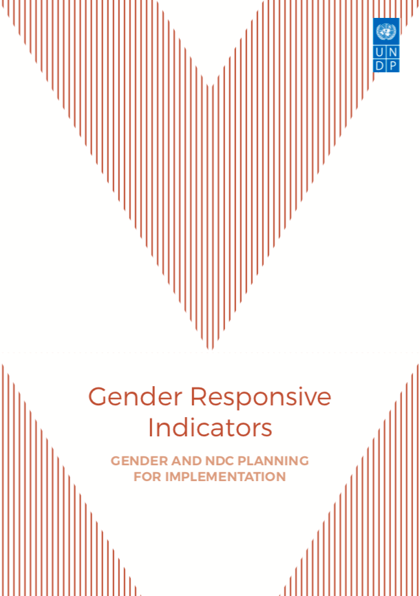 Gender responsive indicators: Gender and NDC planning for implementation | UNDP Climate Promise