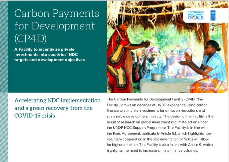 Carbon payments for development (CP4D) Brochure | UNDP Climate Promise