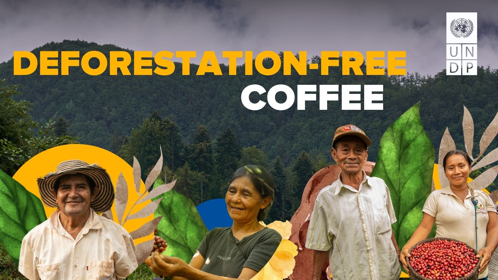 Deforestation-Free Coffee | UNDP Climate Promise