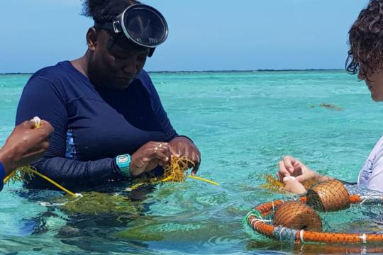 State of Climate Ambition | UNDP Climate Promise