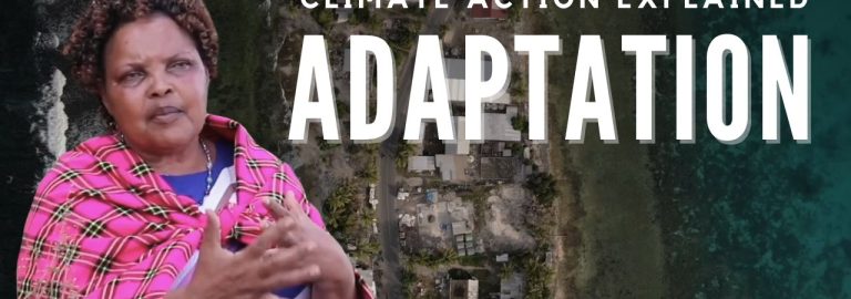 Climate Action Explained | Climate Promise