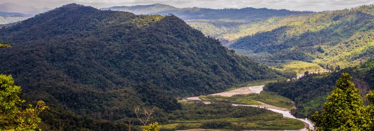 Ecuador | Climate Promise