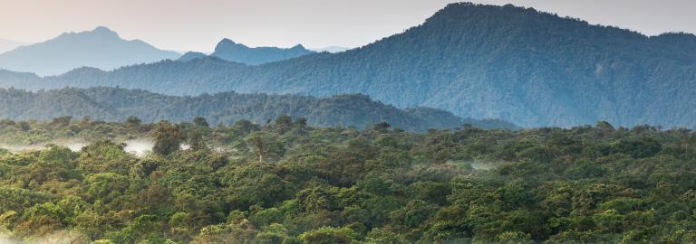 Colombia | Climate Promise