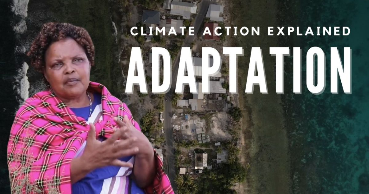 Climate Action Explained | Climate Promise