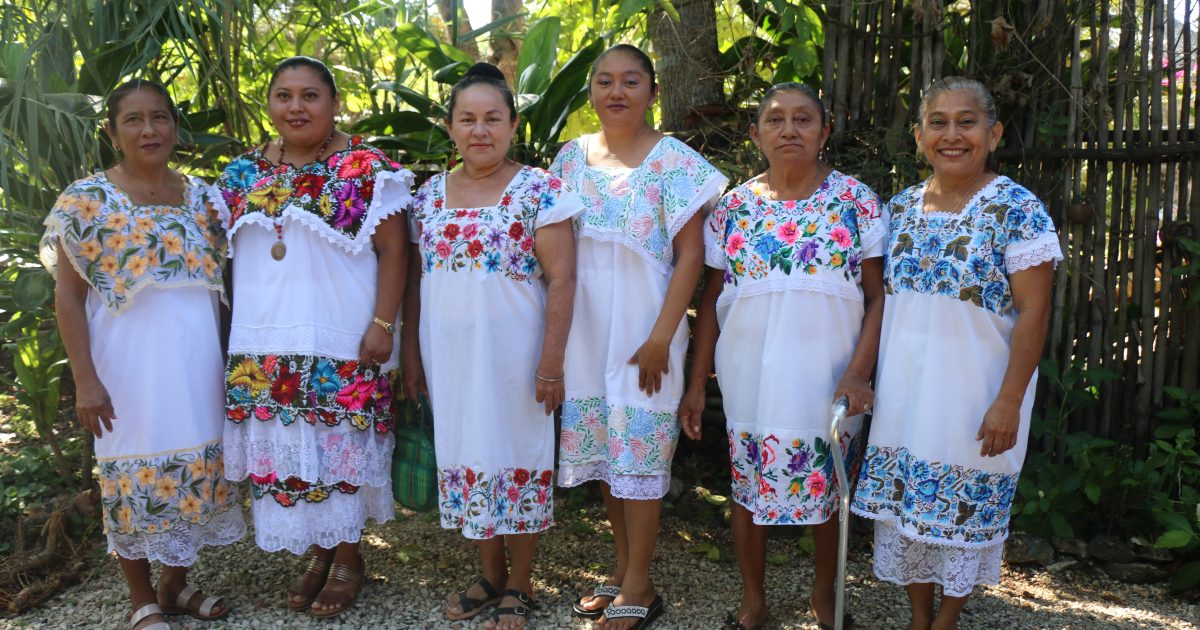 How gender equality drives effective forest conservation | Climate Promise