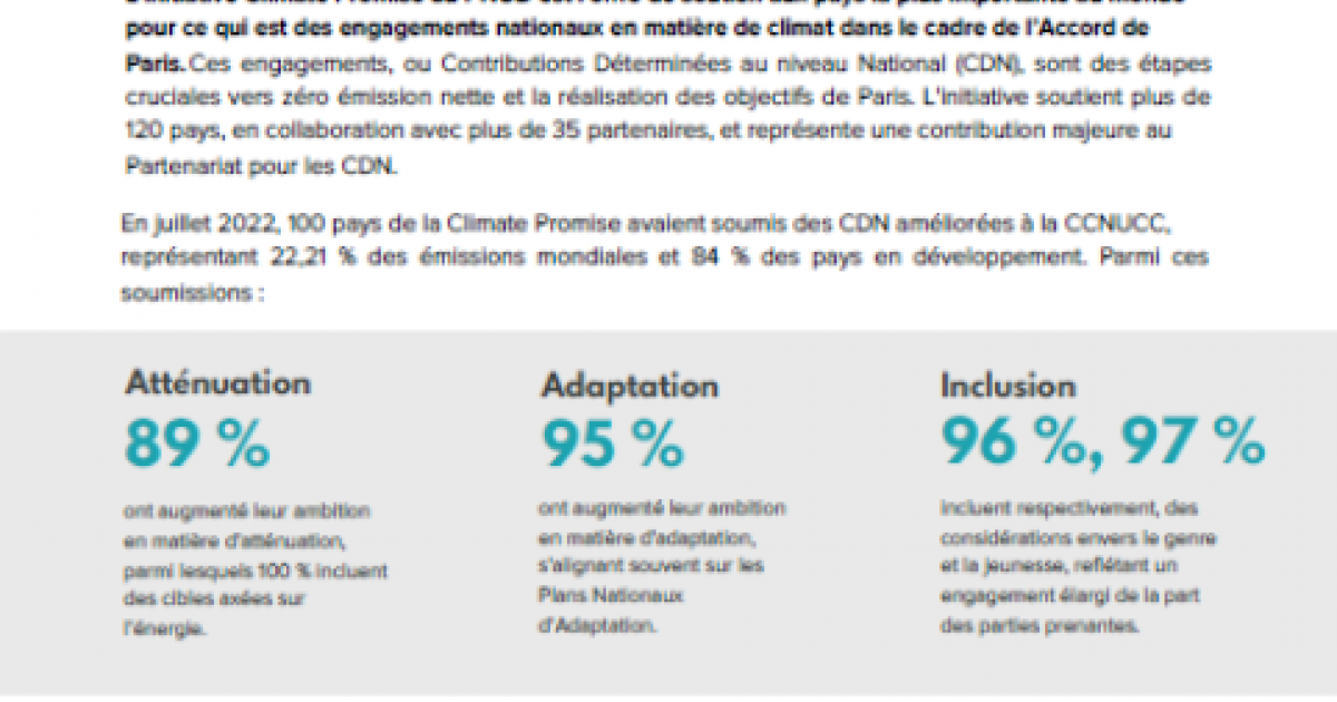 L'initiative Climate Promise du PNUD - résumé explicatif | Climate Promise