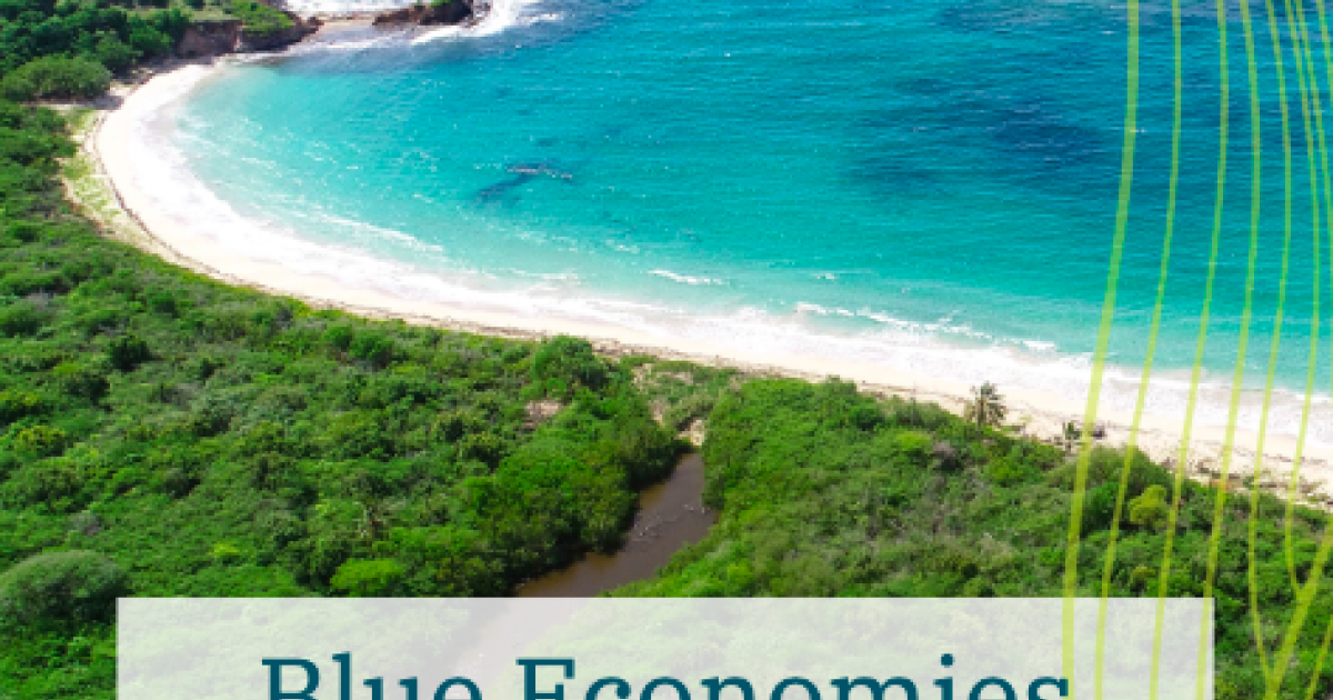 Blue Economies and Nature-based Solutions for enhanced climate action ...