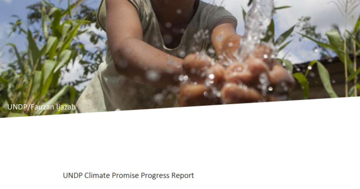 Climate Promise Progress Report - November 2020 | Climate Promise