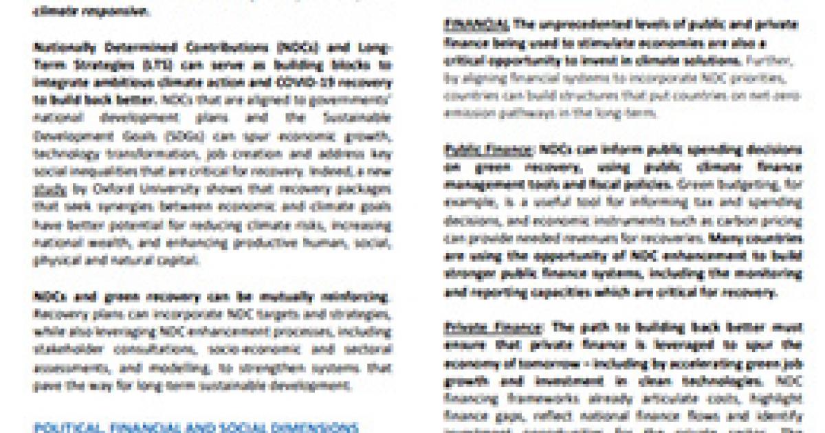 Using NDCs to inform green recovery | Climate Promise
