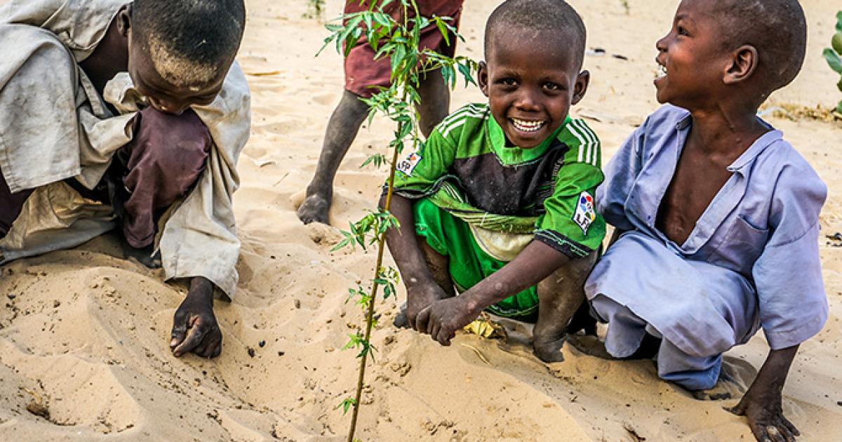 State of Climate Ambition | Climate Promise