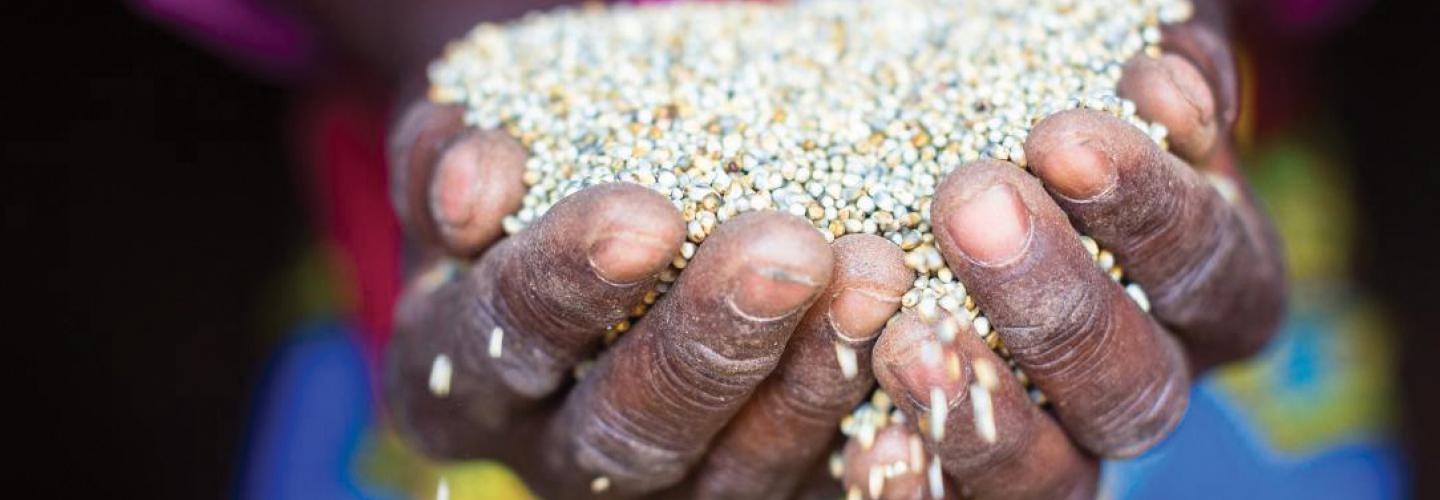 State of Climate Ambition | UNDP Climate Promise