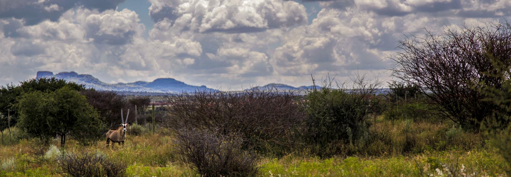 Namibia | Climate Promise